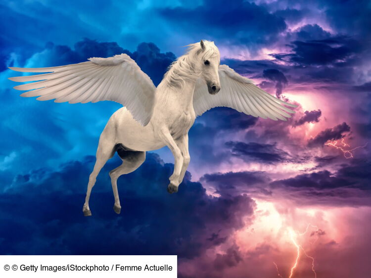 Tout savoir sur Pégase, le cheval ailé de la mythologie grecque : Femme ...