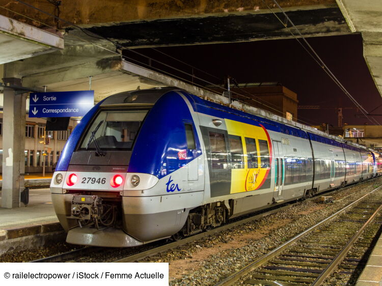 Pourquoi Les TER sont moins chers en Occitanie et pas chez vous ...