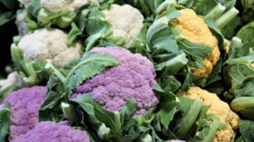 Chou rouge : quels sont ses bienfaits et comment le préparer ? : Femme ...