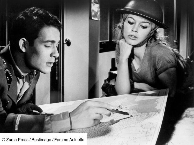 Brigitte Bardot : les violences conjugales qu’elle a subies lorsqu’elle ...