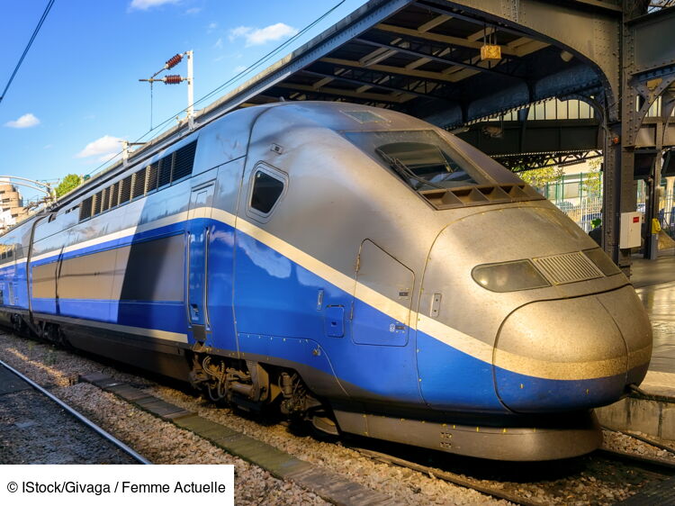 Vacances de printemps et ponts de mai : vous pourrez très bientôt réserver vos billets de train ...