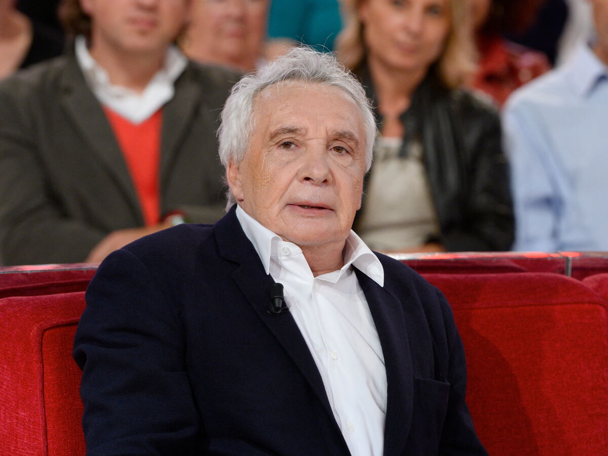 Michel Sardou opposé aux grèves : "Je suis contre la paralysie de la ...