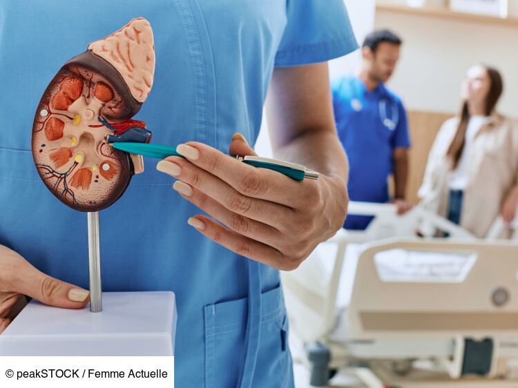 Insuffisance rénale : les différents stades de la maladie : Femme ...