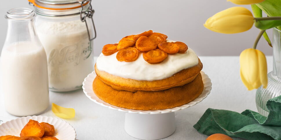 Gâteau au yaourt à l'abricot facile et rapide : découvrez les recettes ...