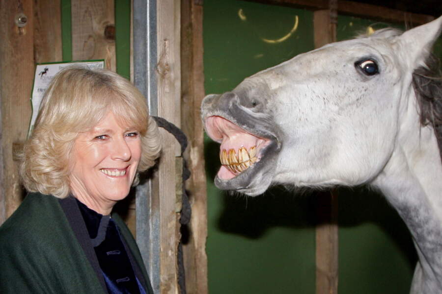 Camilla Parker Bowles reine consort d'Angleterre : découvrez son ...