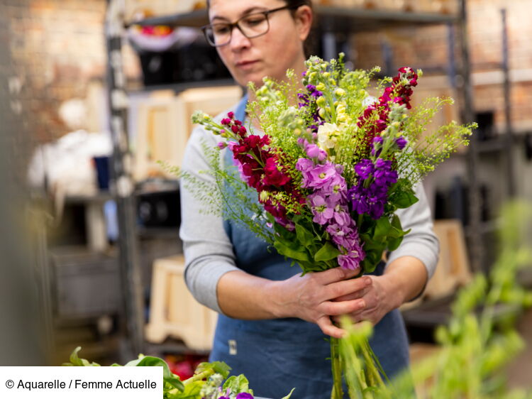 Livraison de fleurs : quels sont les meilleurs sites pour commander un ...