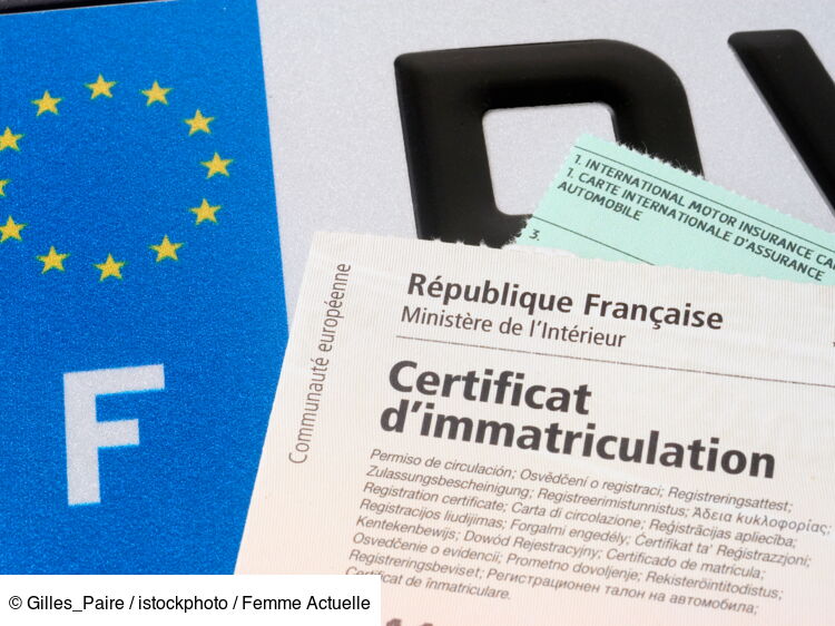 Numéro de formule d'une carte grise : qu'est-ce que c’est et où le ...