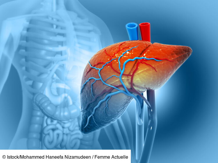 Cirrhose biliaire primitive : causes, diagnostic et traitements de ...