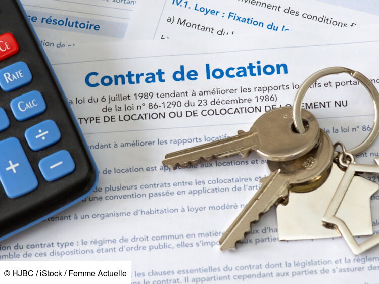 Comment construire un bon dossier locatif ? Les conseils d’un directeur ...