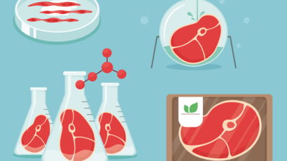 Nutrition, articles, vidéos, dossiers et diapo : Femme Actuelle Le MAG