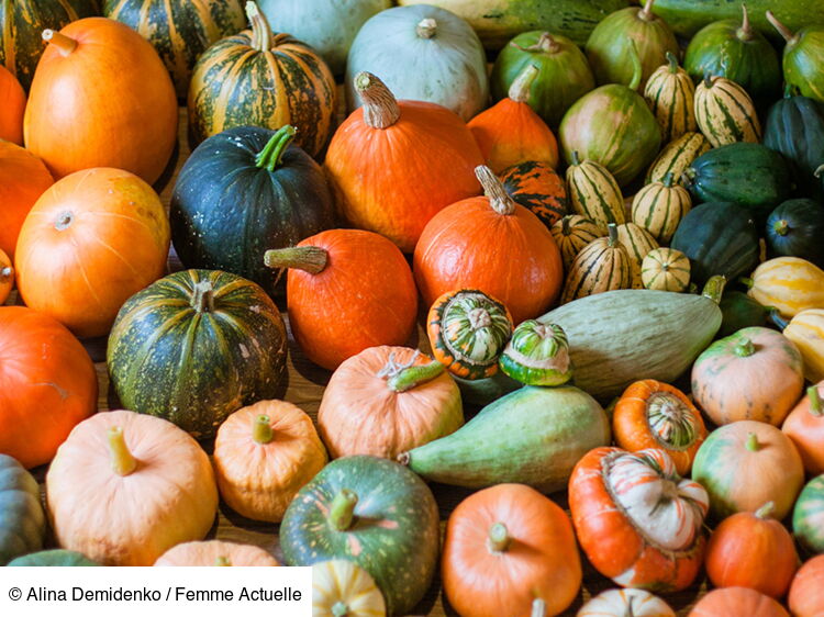 Courges : lesquelles peut-on manger avec la peau ? : Femme Actuelle Le MAG