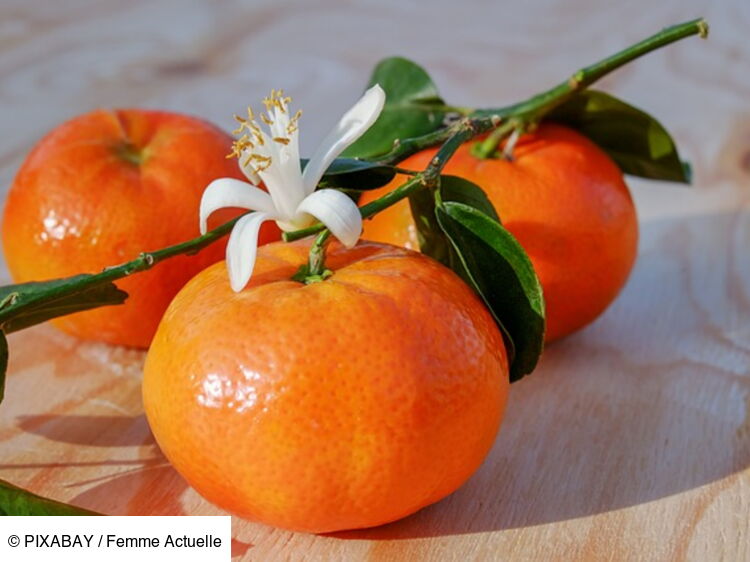 Clémentine : avec ou sans pépin, avec ou sans feuille ? Comment bien la ...