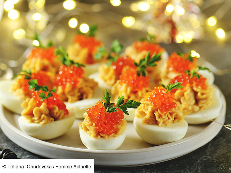 Entrées de Noël prêtes en 30 minutes : 100 recettes faciles : Femme ...