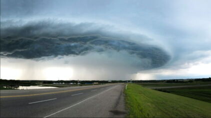 Miracle : un bébé pris dans une tornade retrouvé vivant dans un arbre aux États-Unis : Femme ...