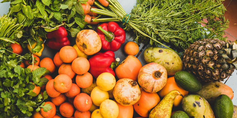Carpophobie : quelle est cette phobie des fruits et comment la traiter ...