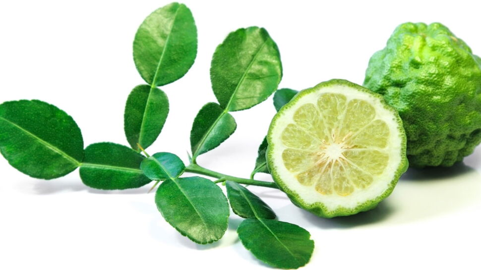 Fraises, eau et sorbet de rhubarbe au cumbava facile : découvrez les ...