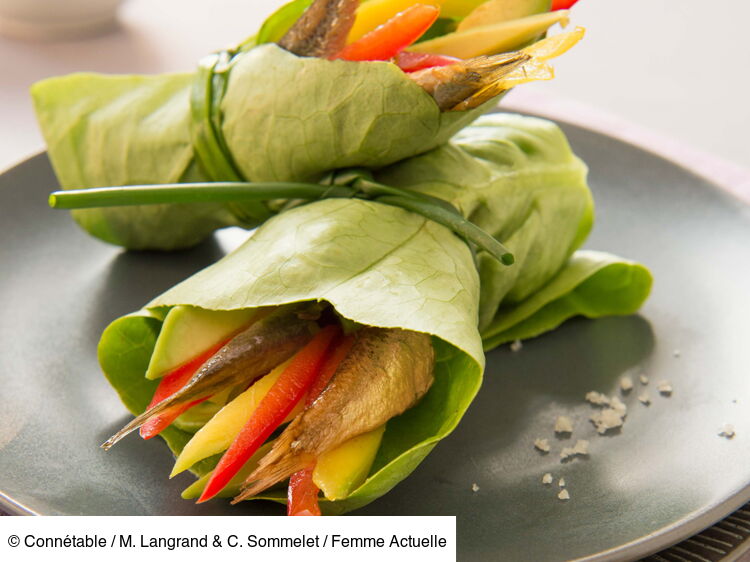 Mini wraps fraîcheur facile et rapide : découvrez les recettes de ...