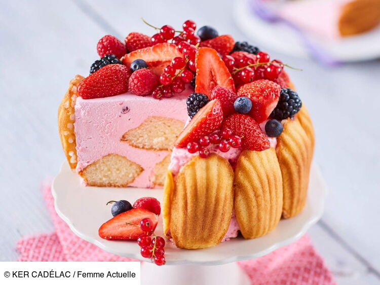 Charlotte de madeleines et mousse de fruits rouges facile et rapide ...