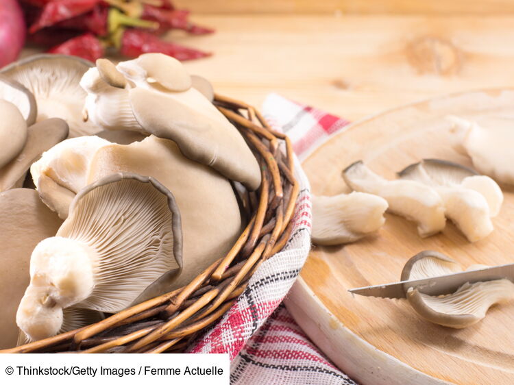 Sauce aux pleurotes rapide : découvrez les recettes de cuisine de Femme ...
