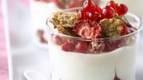 panna cotta aux fruits rouges facile et rapide : découvrez les recettes ...