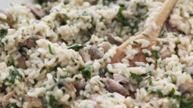 Risotto au poulet super facile rapide : découvrez les recettes de ...