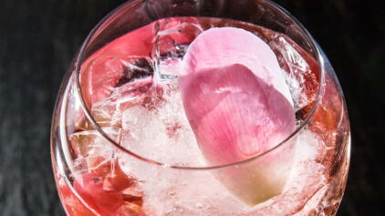 Cocktail Vie en rose facile et rapide : découvrez les recettes de ...
