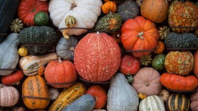 Nos meilleures recettes à cuisiner en juillet : Femme Actuelle Le MAG