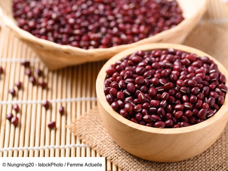 Préparation, cuisson, idées recettes : tout ce qu'il faut savoir sur le ...