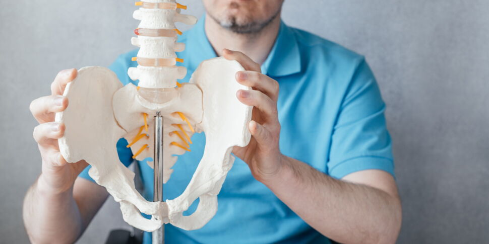 Le bassin : rôle, pathologies et examens : Femme Actuelle Le MAG