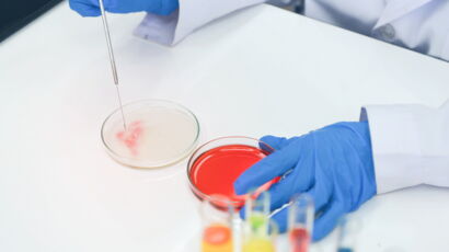 Staphylocoque doré : transmission, symptômes, traitements, risques ...