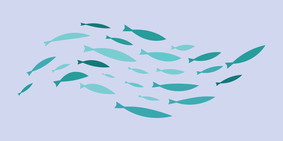 Saison du Poissons : ce qu’elle va apporter à tous les signes ...