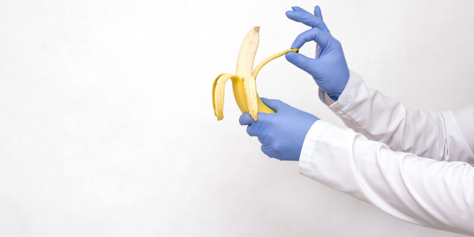 Circoncision : définition, déroulement et soins post-opératoire : Femme ...