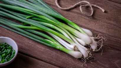 Oignon rouge : nos conseils et recettes pour le cuisiner : Femme ...