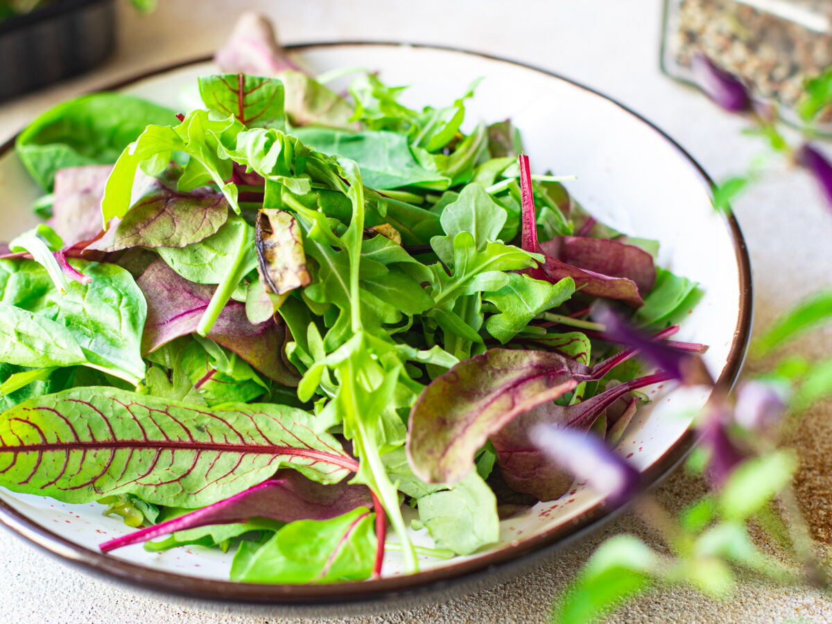 Une Salade Verte Salade Verte La Gondola