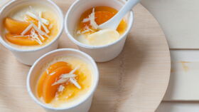 Panna cotta au lait de coco et aux fruits rouges facile et rapide ...