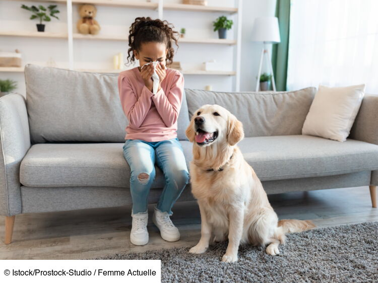 Allergie aux acariens : les mesures incontournables à prendre à la ...