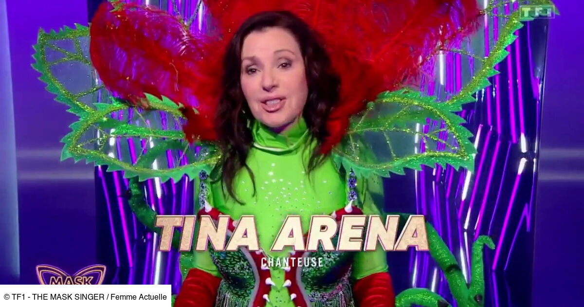 "Mask Singer" : Tina Arena revient sur son expérience : Femme Actuelle ...
