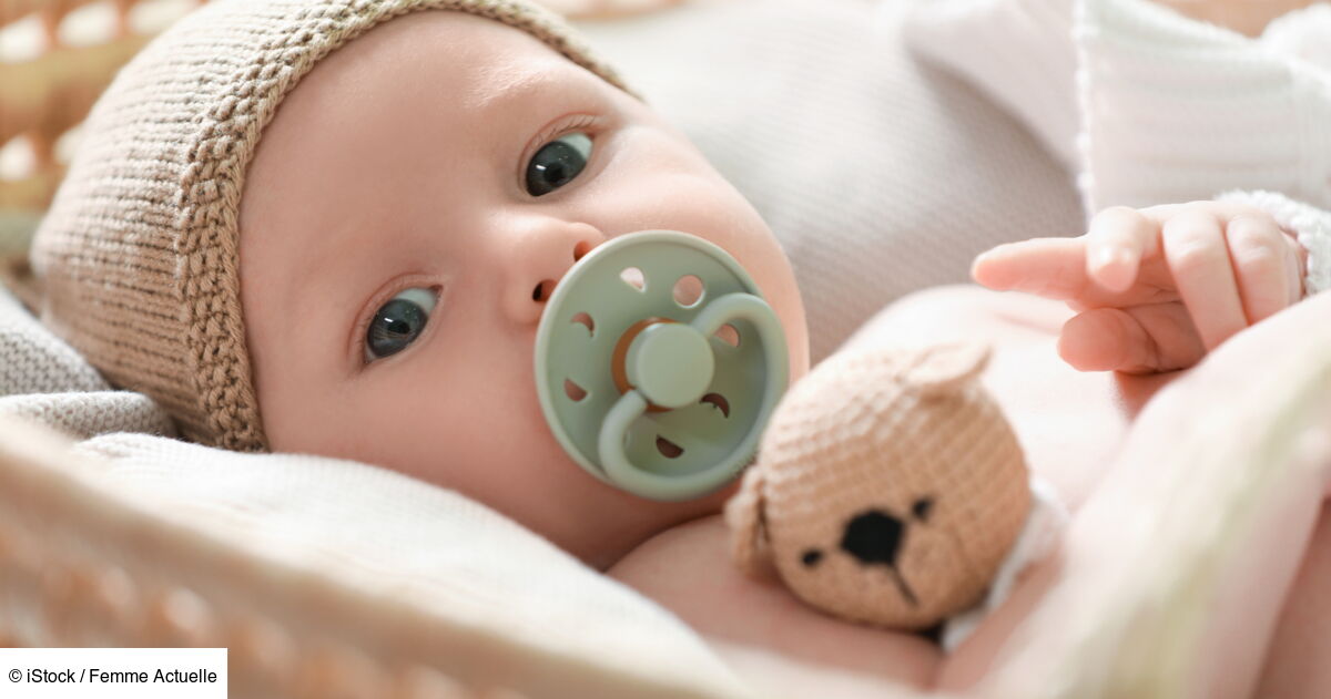 Brachycéphalie : comment soigner cette déformation du crâne chez le ...