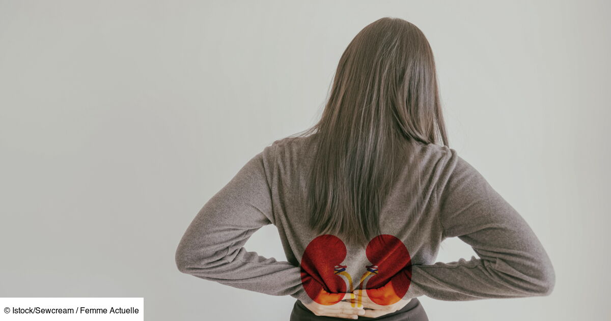 Angiomyolipome : symptômes et traitements de cette tumeur du rein ...