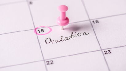 DPO grossesse (days post ovulation) : comment le calculer ? : Femme ...