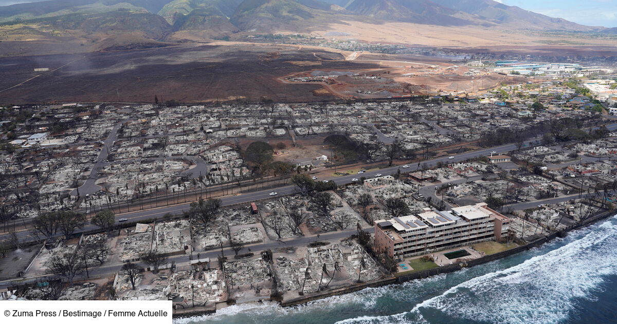 Incendie à Hawaï : le bilan s’alourdit à 96 morts : Femme Actuelle Le MAG
