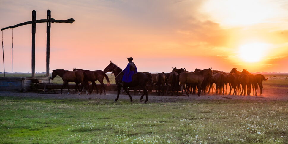 Nature, culture et aventures pour toute la famille en Hongrie : Femme ...