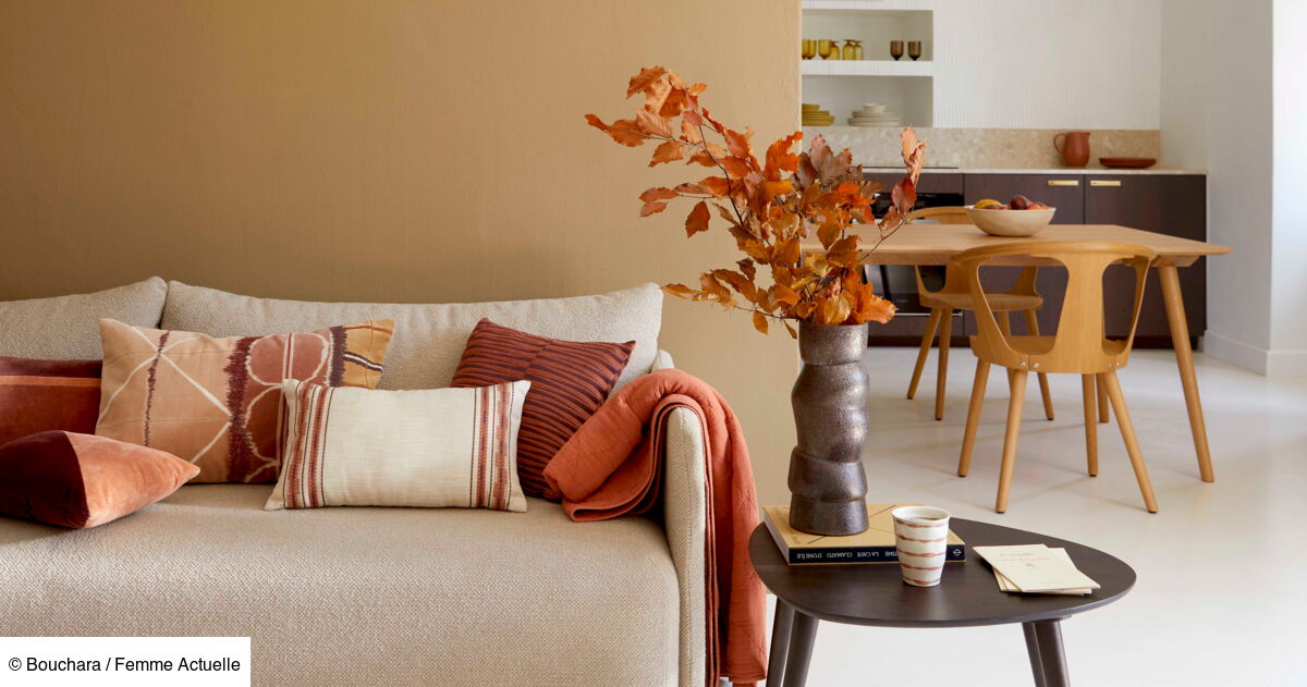 Peinture : comment associer les couleurs chaudes dans mon salon ...