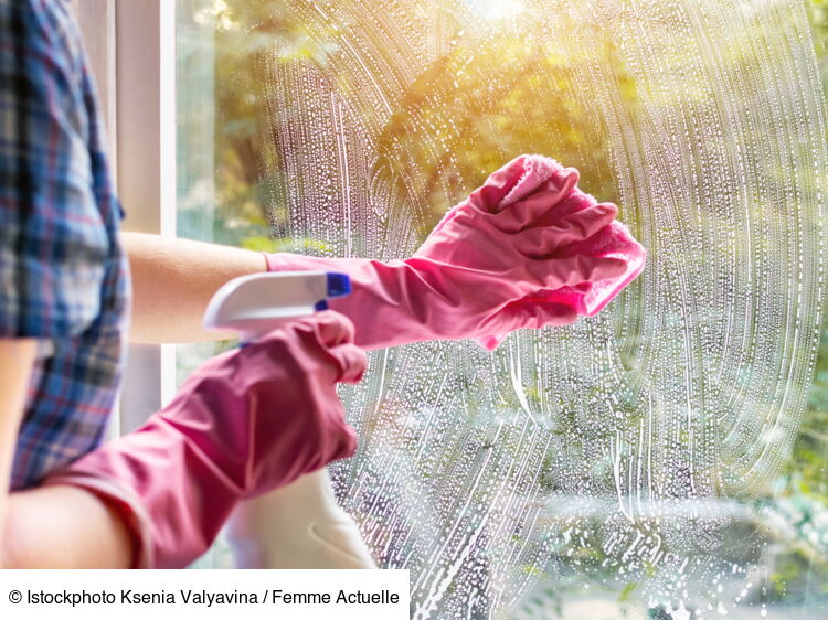 Comment nettoyer les fientes d’oiseaux sur les fenêtres ? : Femme ...