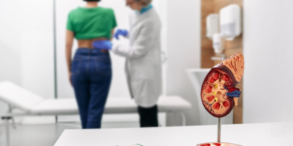 Néphrologue : indications, examens pratiqués, quand consulter ce ...