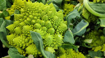 Comment cuisiner le chou rouge ? : Femme Actuelle Le MAG