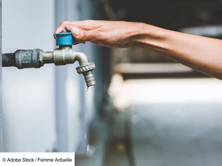 Comment faire pour économiser l'eau ? 7 conseils et pratiques à mettre en place : Femme Actuelle ...