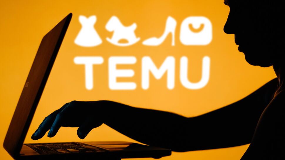 Temu épinglé pour des pratiques illégales, 17 associations de consommateurs portent plainte ...