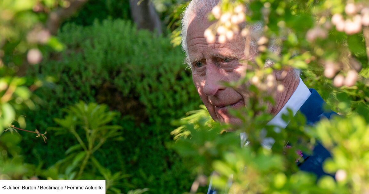 Découvrez le montant impressionnant de la fortune de Charles III ...