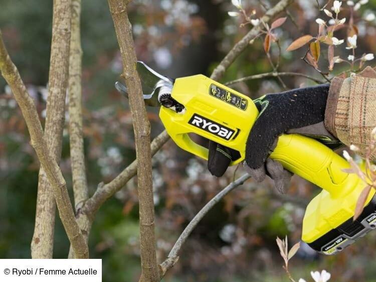 Si vous jardinez, ce sécateur électrique de marque en promotion va ...
